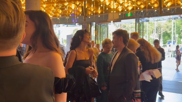 Коты на помойке в Новогоднюю ночь, 2025.