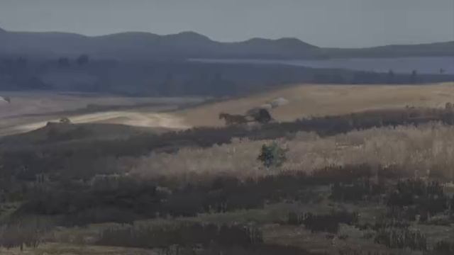 Проблема с повозкой