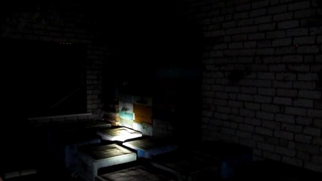 Первый день зимовки пчёл