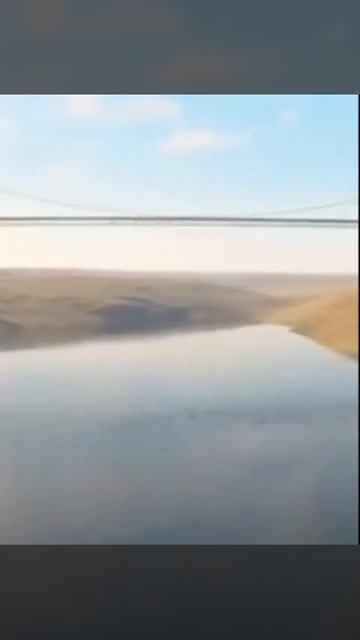 Всемирная котострофа