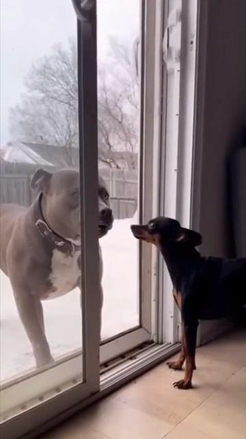 Такой подставы не ожидали оба