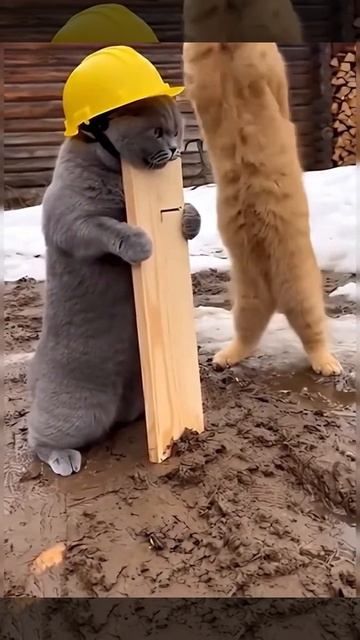 А ты соблюдаешь ТБ?