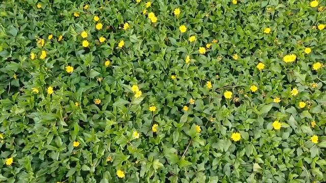 Дубай (4.01.2026) - Бизнес Бай.