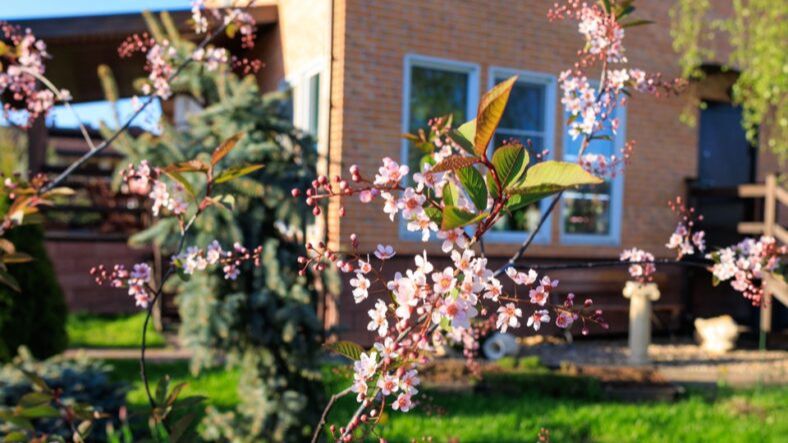 Мечты о весне