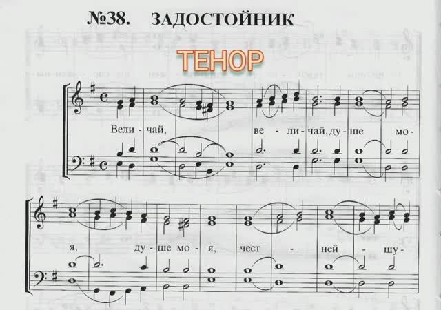 T Задостойник РХ