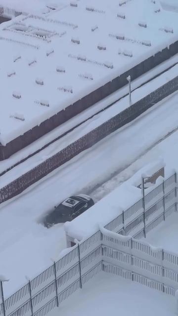 Идиотос 80+. Вижу цель, не вижу препятствий.