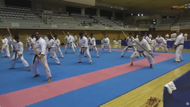 Акаминэ Хироси