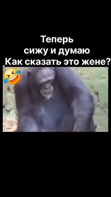 Это, конечно, ситуация! У Вас было такое???#русскаярыбалка #fishing #прорыбалку #Диалогиорыбалку