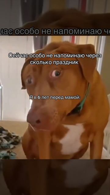 Было дело прикол наш тг⬇️