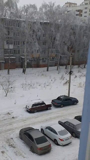 Голуби опять как всегда на своем месте