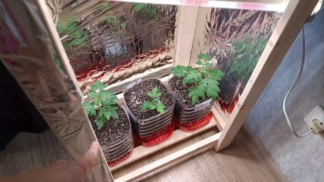 У НАС-Снег,Движ,Чуть Работы и Много Хинкали!