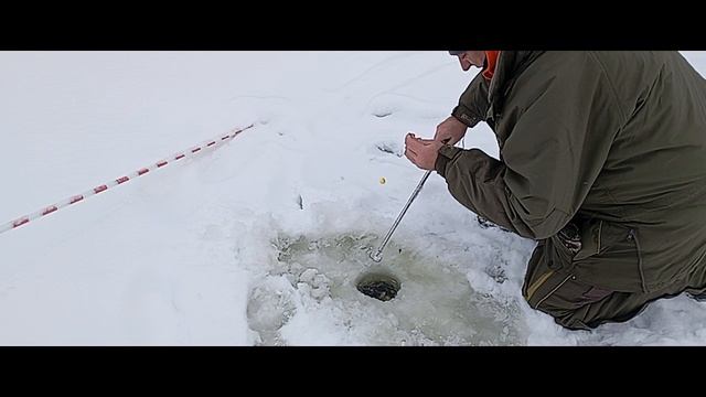 Светлые Горы Форель7 04.01.2026г.