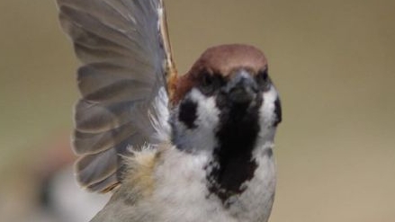 Мем из сборника.