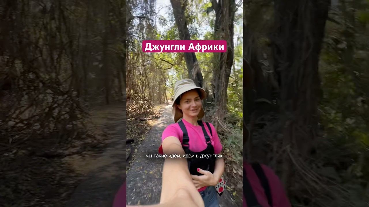 А рядом самый большой водопад мира - водопад Виктория. Смотрите его в других видео в профиле