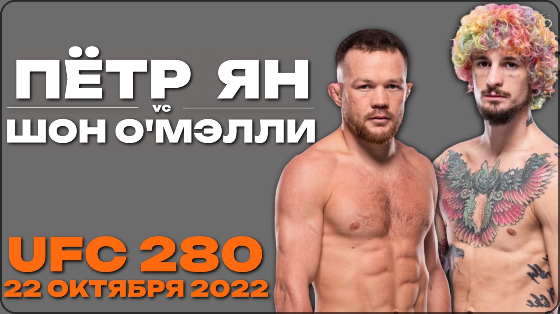 PETR YAN vc SEAN O’MALLEY / ПЁТР ЯН & ШОН О'МЭЛЛИ / БОЙ без пауз и рекламы. HD качество