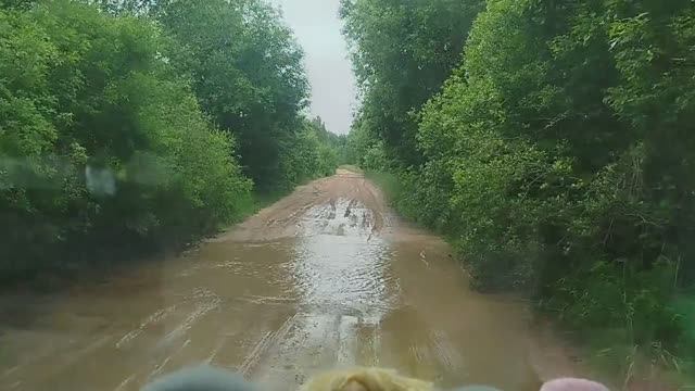 Едем на Чудское озеро, июнь 2025