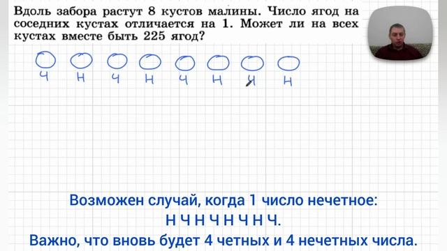2 Олимпиадная задача - про кусты | Олег Митрофанов