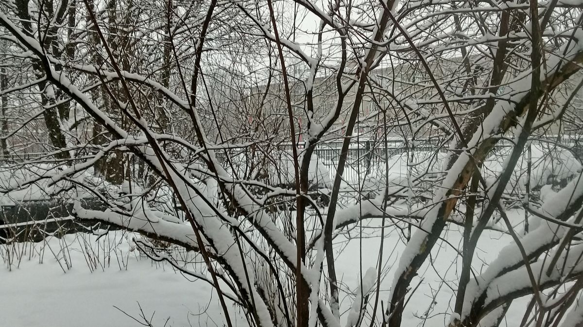 Зима в спальном районе