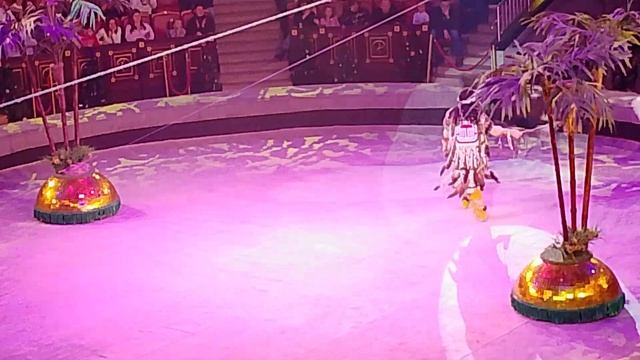 обезьянки мартышки в цирке -1001 песенка