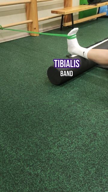 Tibialis Band |  Упражнение на переднелатеральную группу с резиной