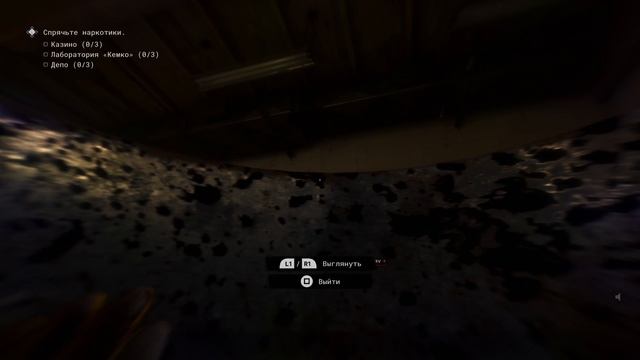 The Outlast Trials (Прячем *котиков)