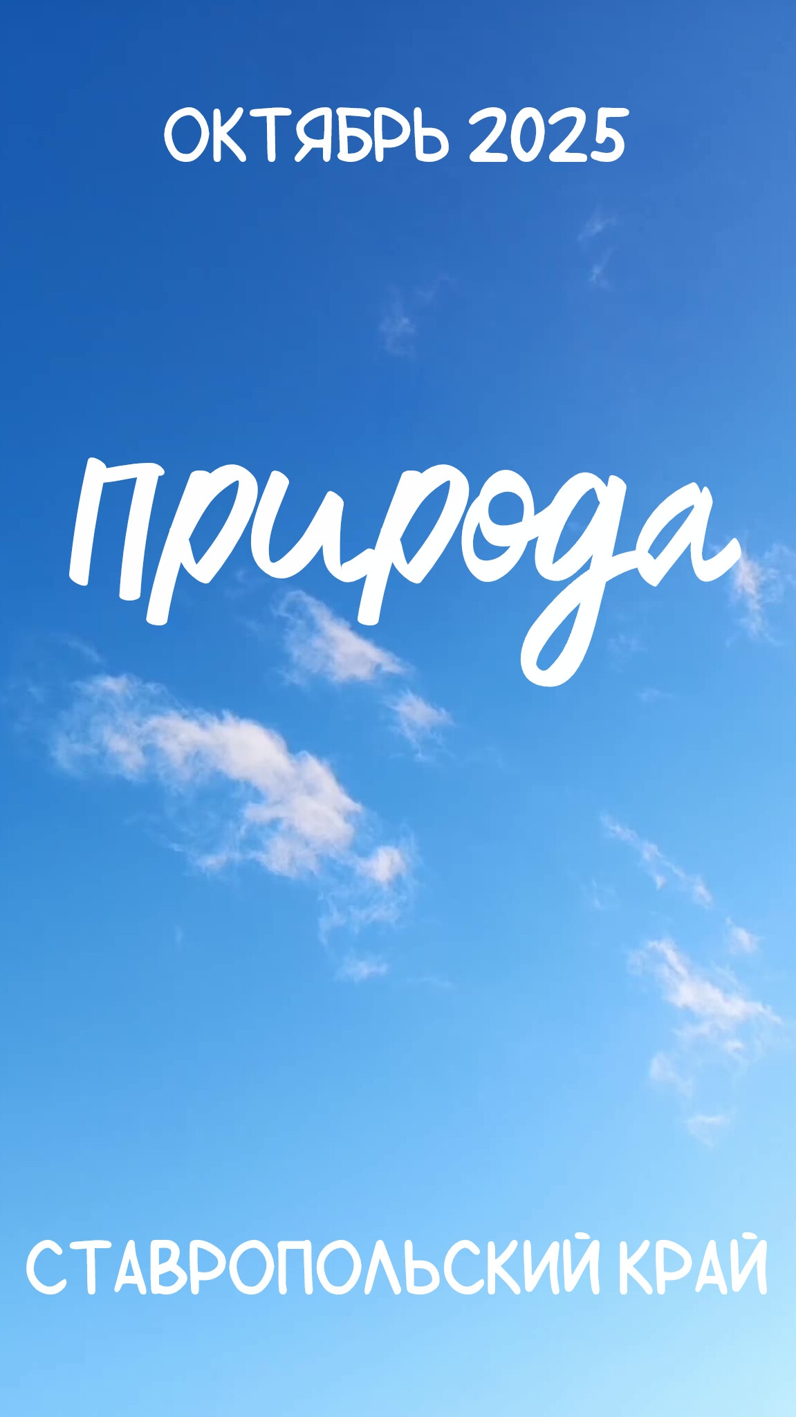Природа. Октябрь 2025 года. Ставропольский край.