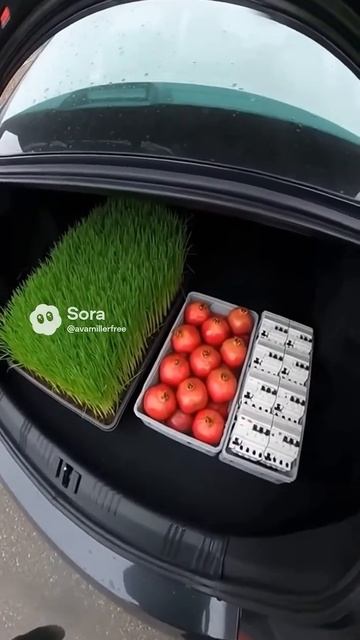 Что у вас в багажнике? Трава, гранаты, автоматы)