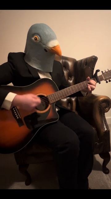 Супер кавер голубь наш тг⬇️