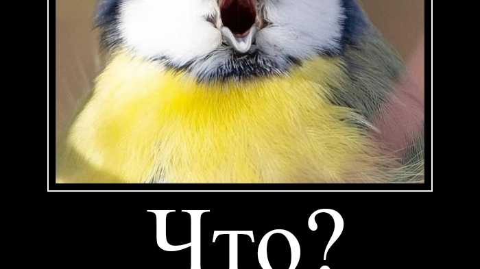 Сборник мемов №3