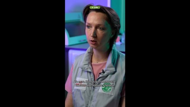 Пироплазмоз – симптомы и профилактика.