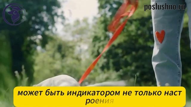 Мифы о собаках. Дрессировка собак. Воспитание собак.