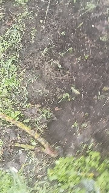 как разбудить соседа от Михи лайфхак 2