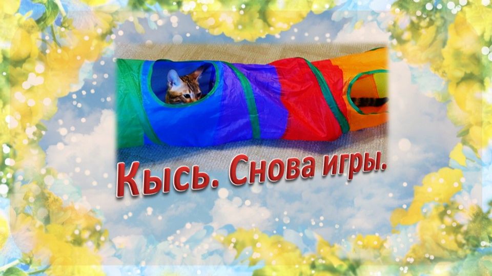 Кысь. Снова игры.
