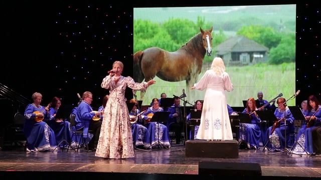Обр.А.Симона. Ой, да не вечер. Влада Верхотурова. Рус.нар.орк. "Жемчужина России". 04.11.2025.