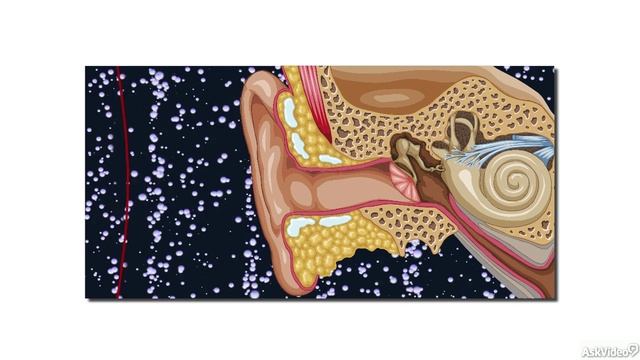 03. Sound Transmission in the Air