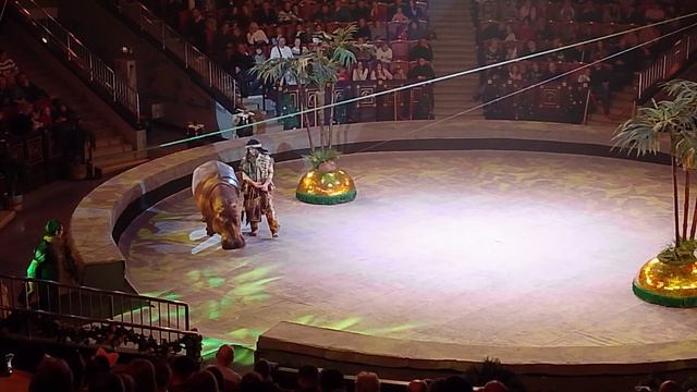 тропический цирк Бегемоты - 1001 песенка