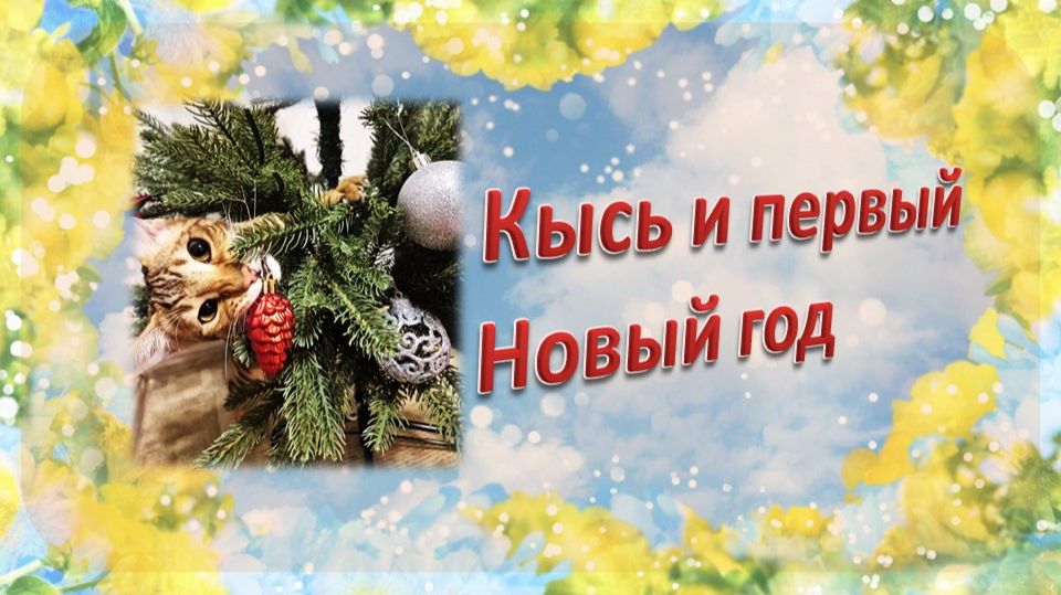 Кысь и первый Новый год