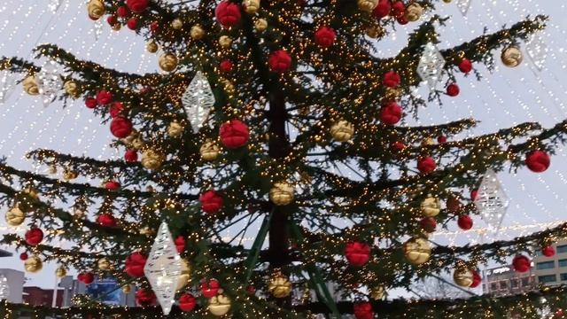 самый центр Калинграда новогодняя ëлка