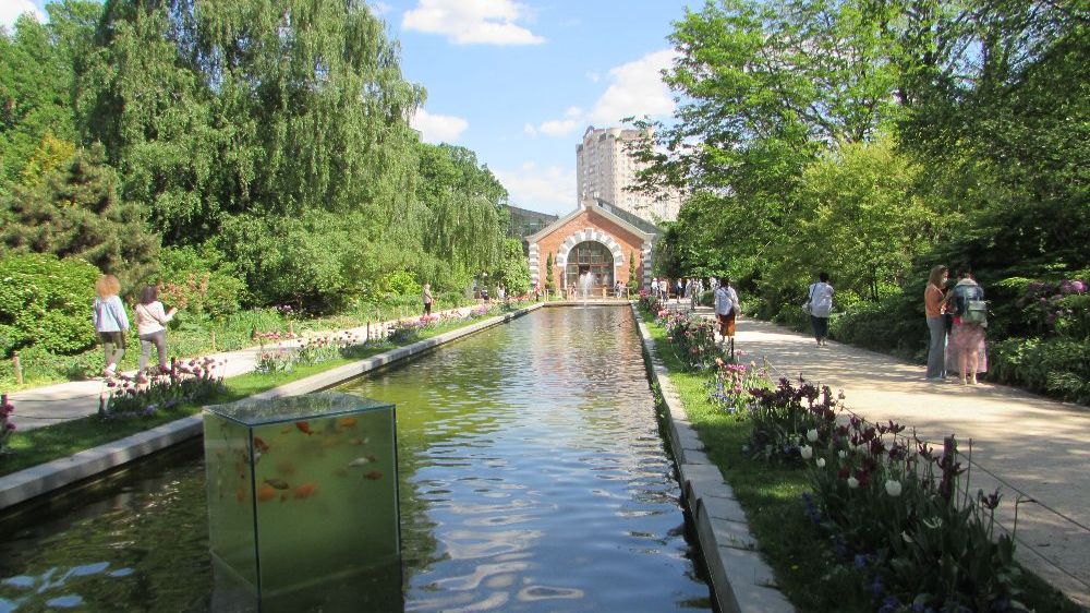 День в Аптекарском Огороде