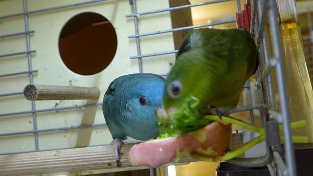 Начало новой жизни