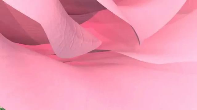 А.Бандера-Жемчужина