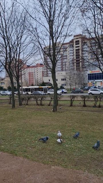 СПб декабрь2025г