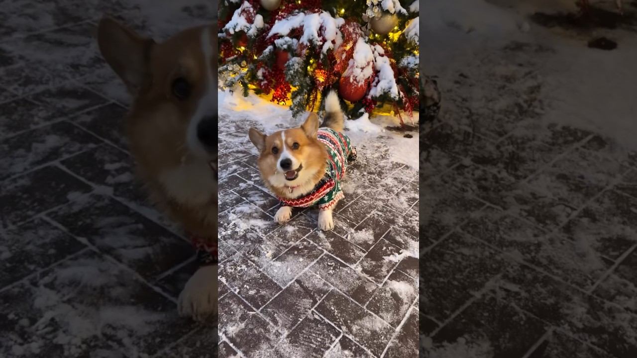 Сколько насчитали?