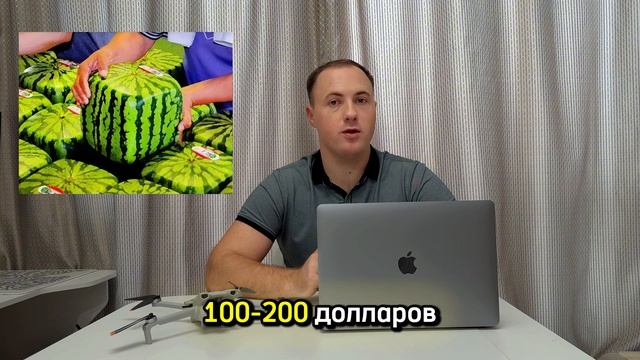 Квадратные арбузы