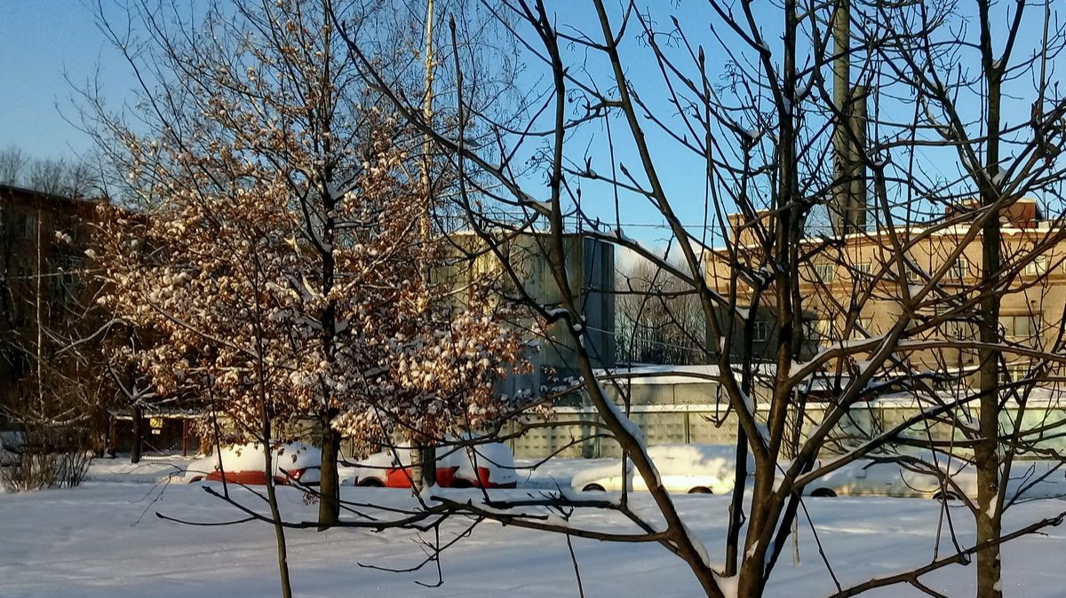 Сквер Юрия Кнорозова. Санкт-Петербург.