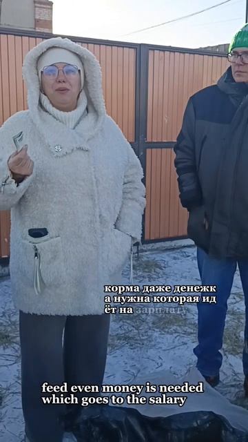 В ЧЁМ НУЖДАЮТСЯ НАШИ СОБАКИ ИЛИ РЕАЛЬНАЯ ПОМОЩЬ