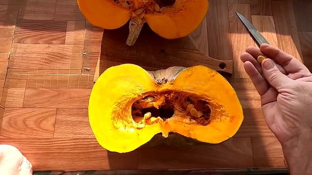 Состояние тыквы на начало января