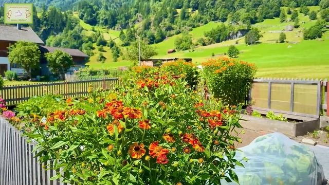 Я нашла самую красивую крошечную деревушку в Швейцарии🇨🇭 Пешая экскурсия по Швейцарской долине🏡