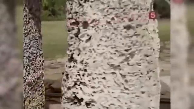 СЕКРЕТЫ ПЛАНЕТЫ ЗЕМЛЯ Большой документальный фильм