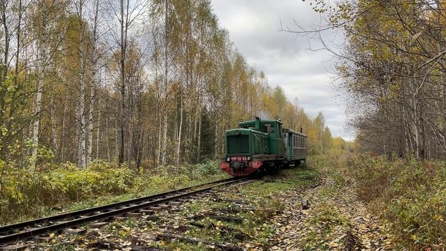 Тепловоз ТУ4-2129 с рабочим поездом на приближении к станции Перегрузочная